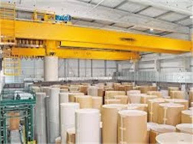 Dry End Overhead Crane-Henan Tosta Machinery CO.,LTD.